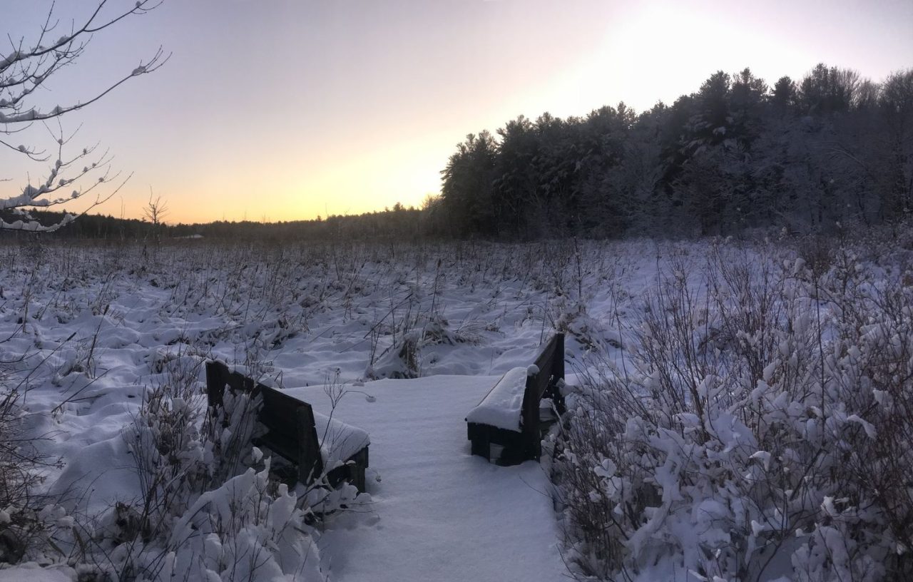 Moonlight Walk at Wachusett Meadow - Montachusett TV